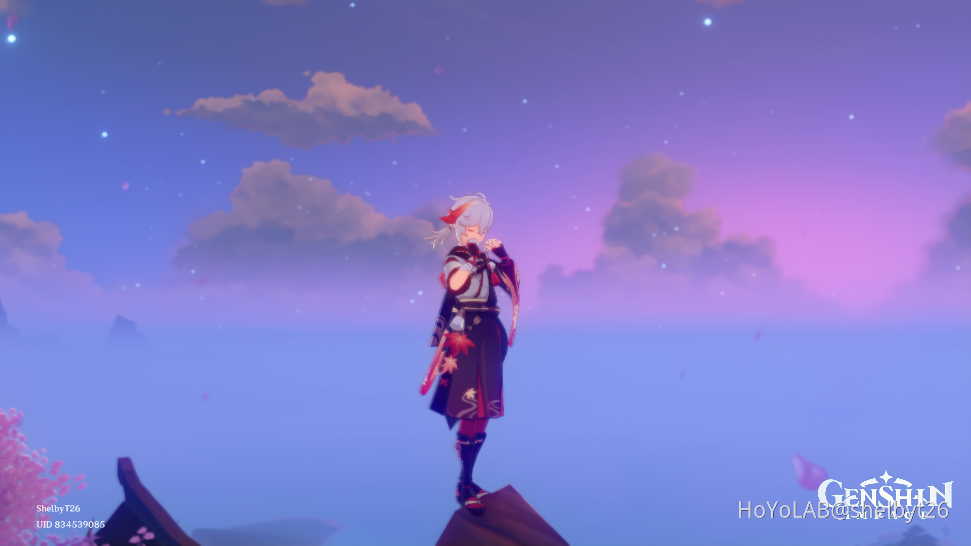 "Shining Stars Paint The Midnight Sky" Genshin Impact | HoYoLAB