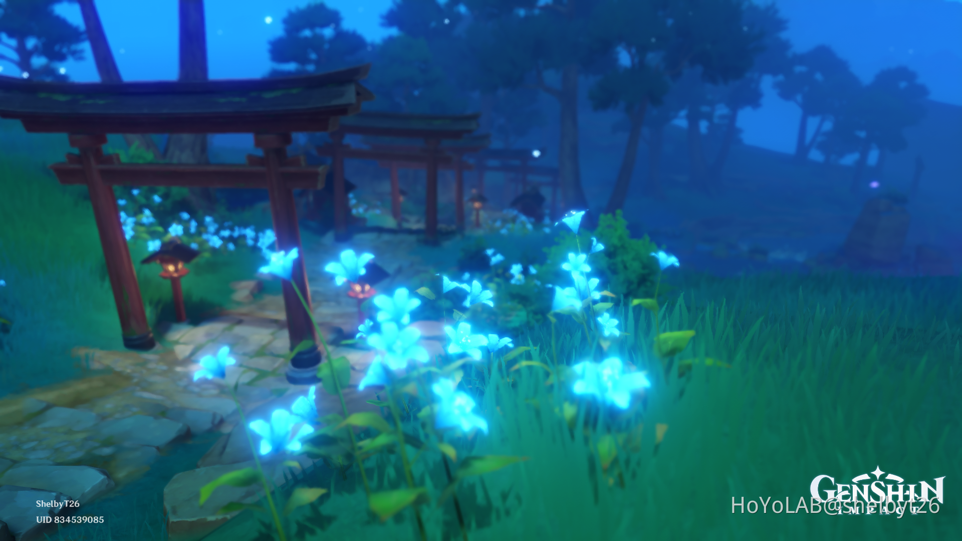 "Flowers Illuminate The Somber Forest" Genshin Impact | HoYoLAB