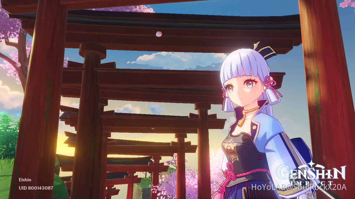 The Quiet Environment of Chinju Forest and the Nice Spots of Inazuma ...