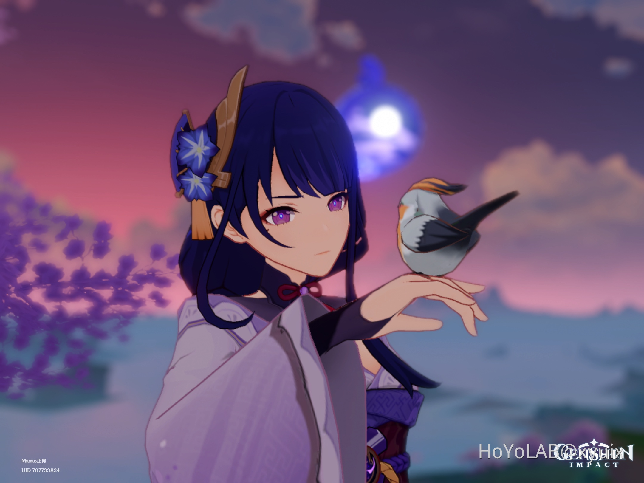 Raiden/Ei - Pictures | Genshin Impact | HoYoLAB