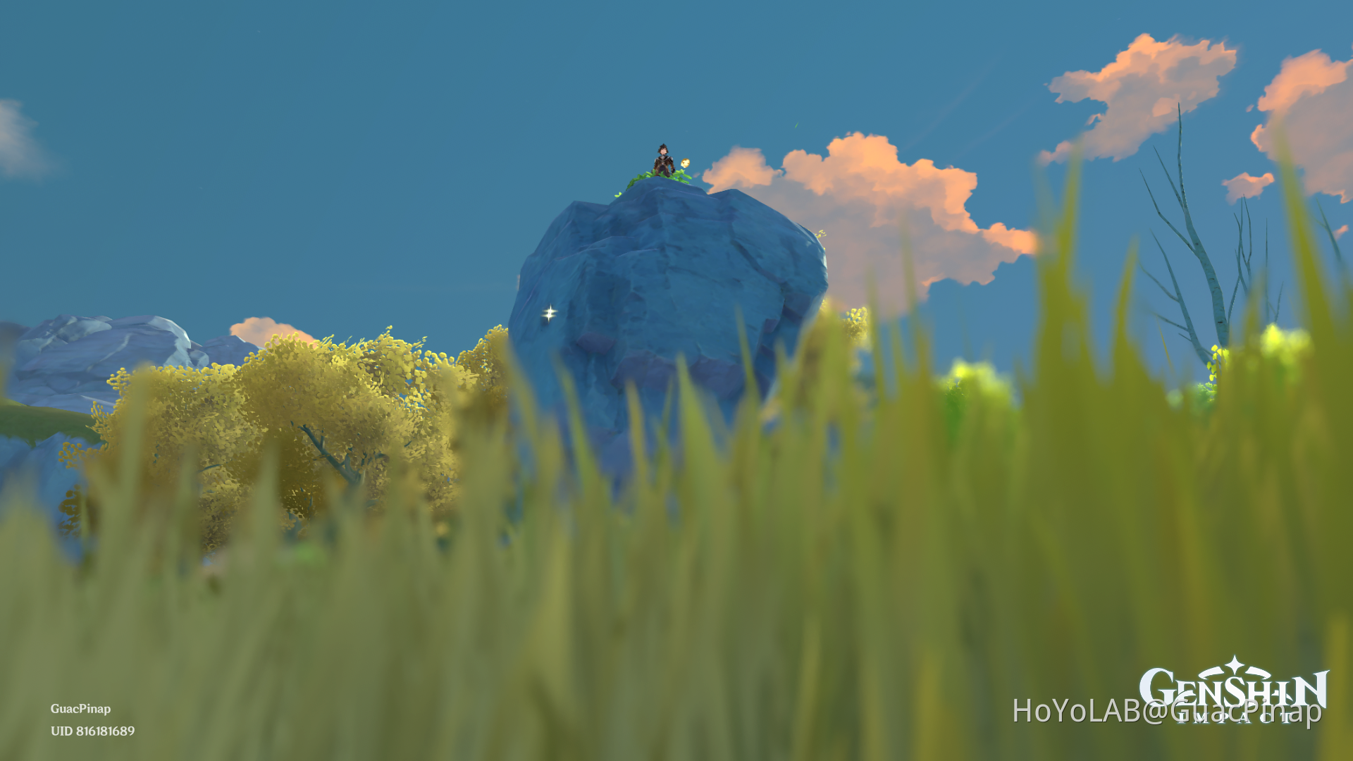 Wraith of the Rock Genshin Impact | HoYoLAB