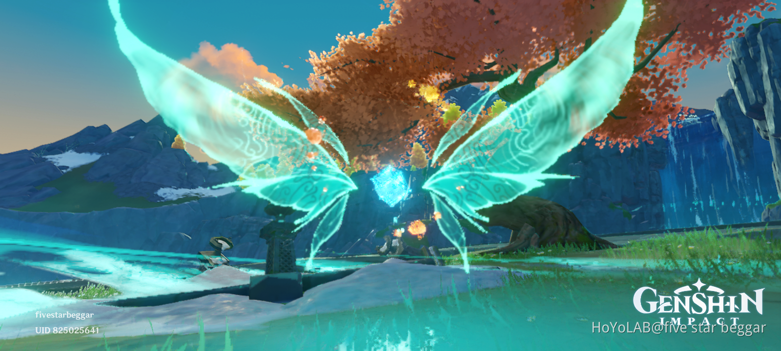 Anemo butterfly in Liyue🦋 Genshin Impact | HoYoLAB