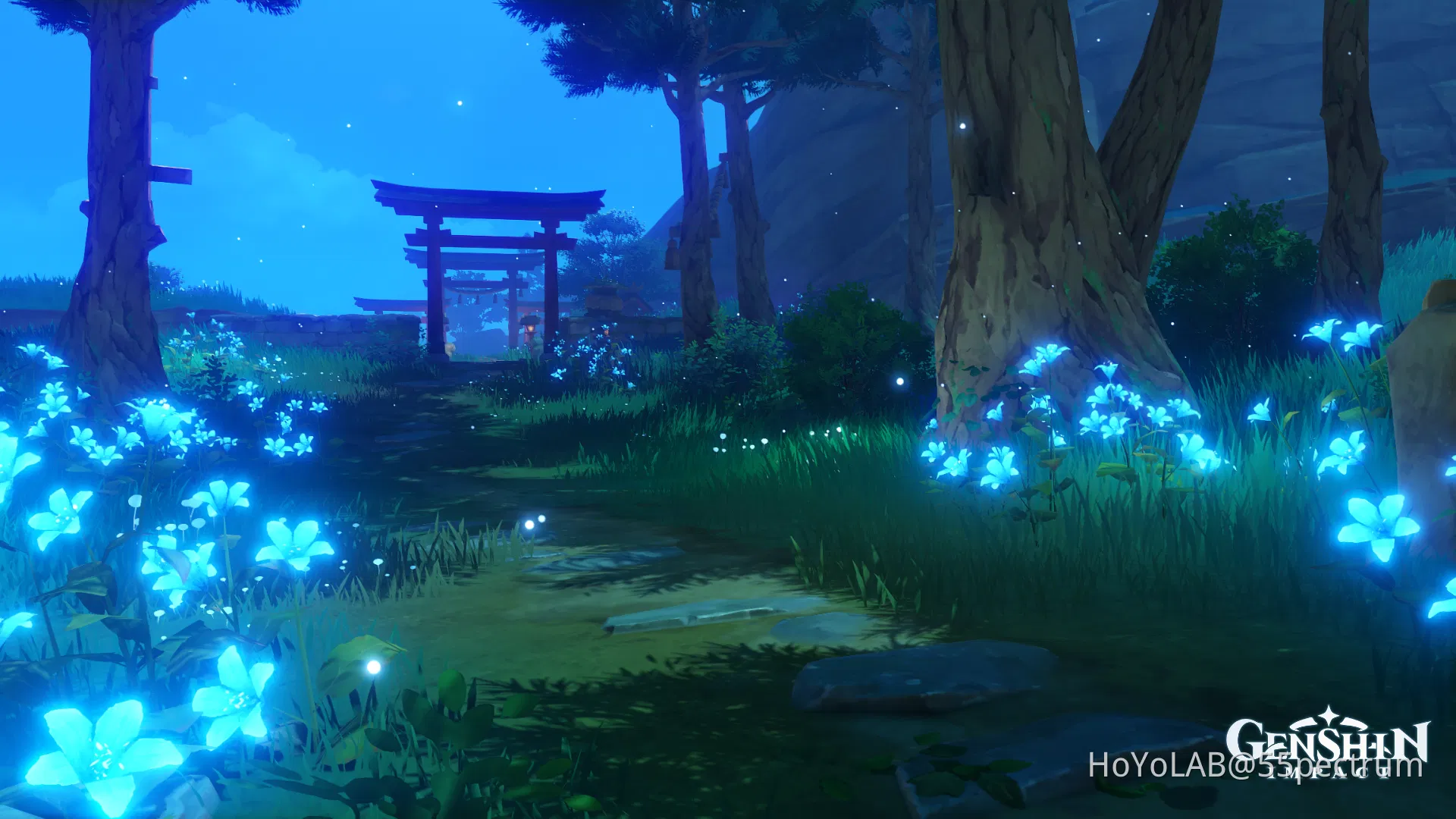 Chinju Forest - Inazuma Genshin Impact | HoYoLAB