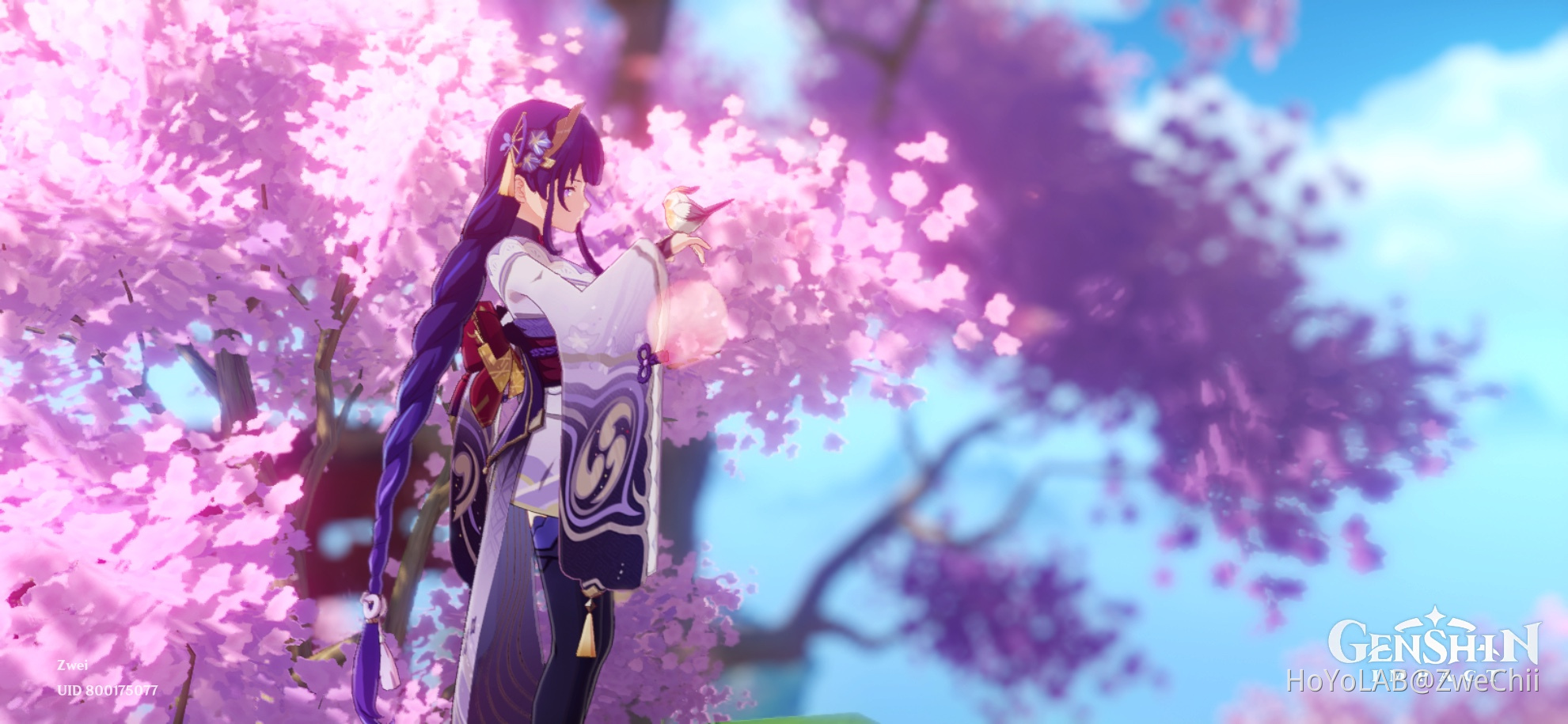 Innocense of Spring Genshin Impact | HoYoLAB