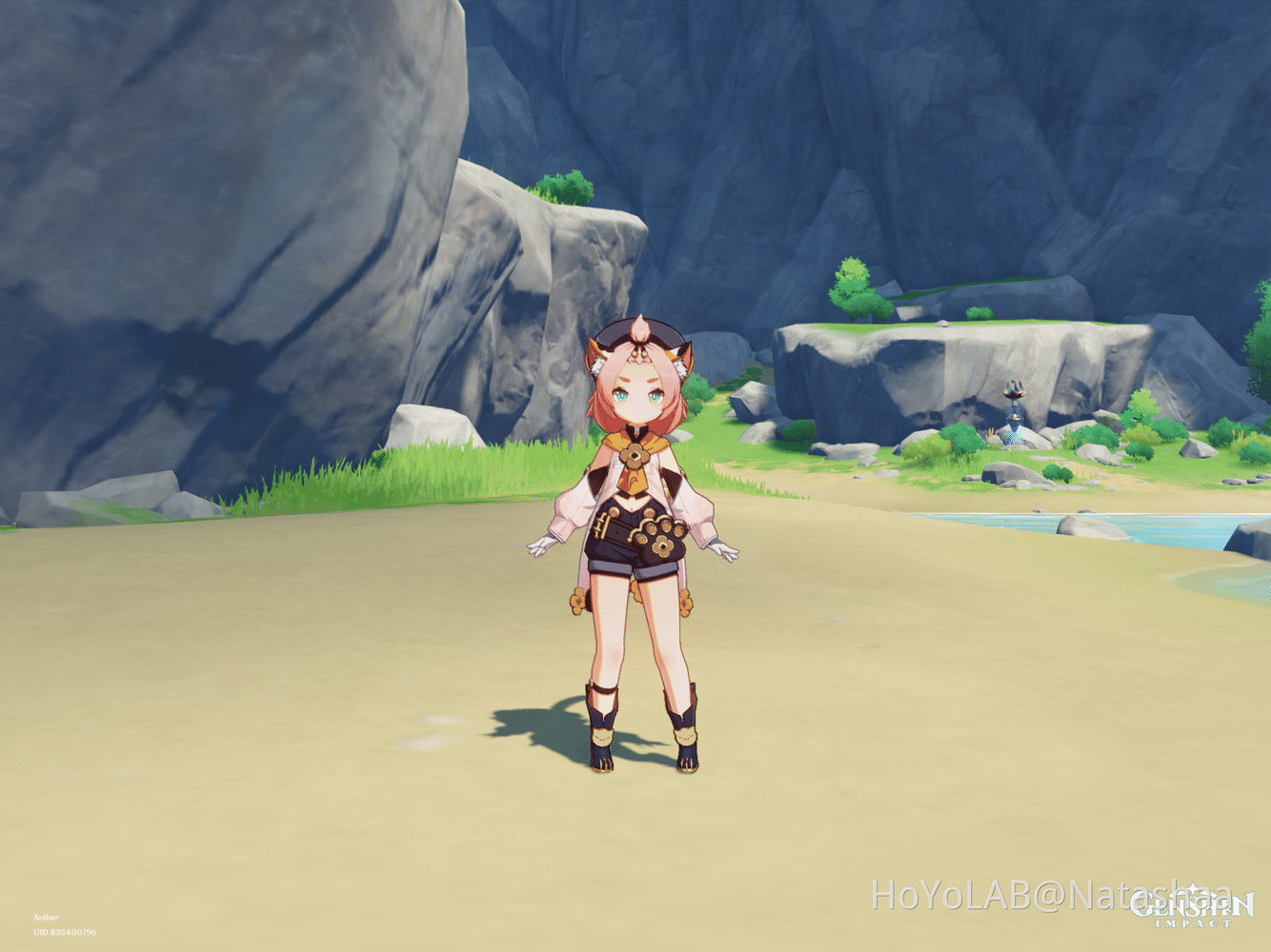 The epic diona build ( for support ) Genshin Impact | HoYoLAB