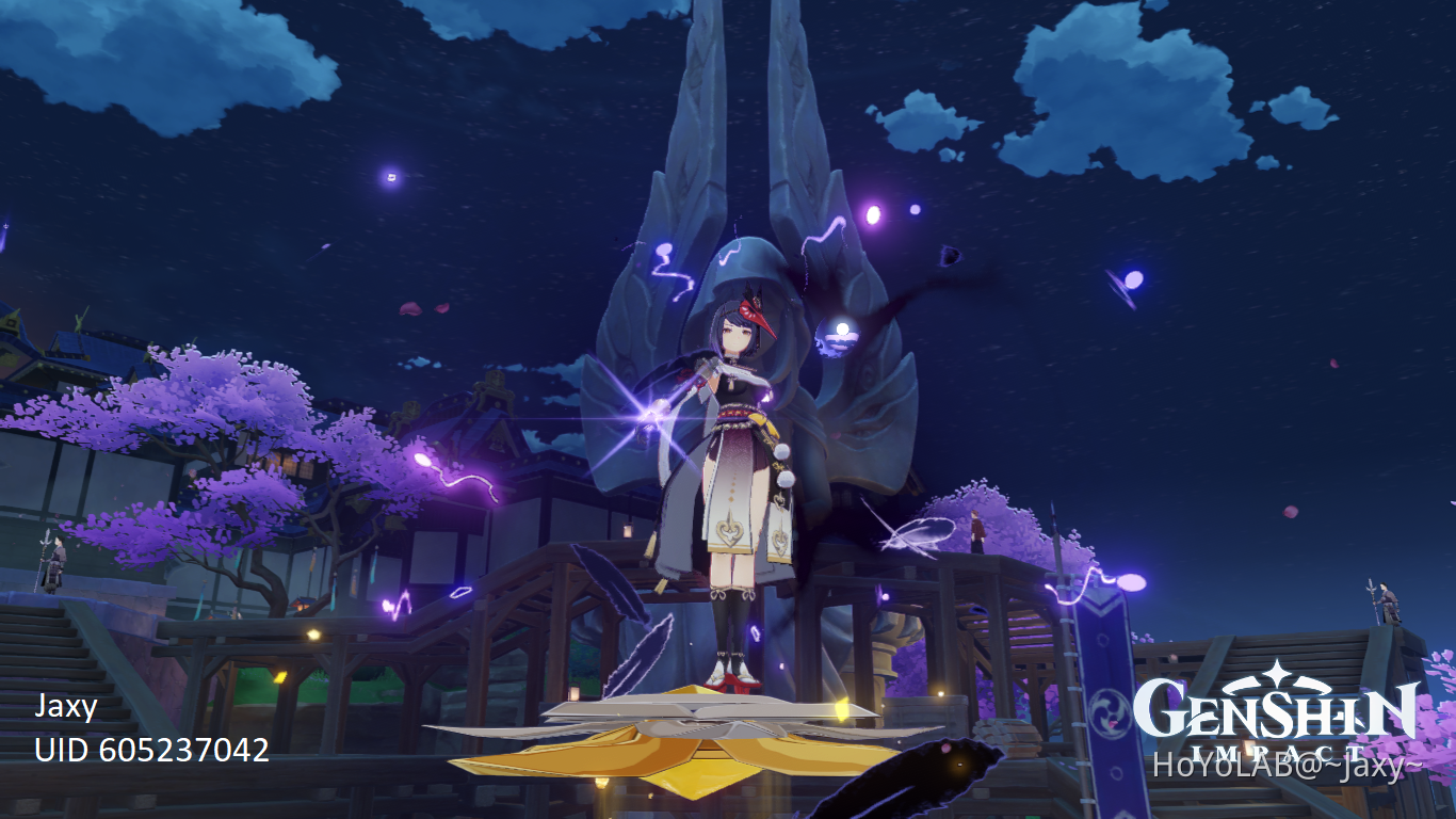 On my watch, Inazuma will always be defended and the will of the Shogun ...