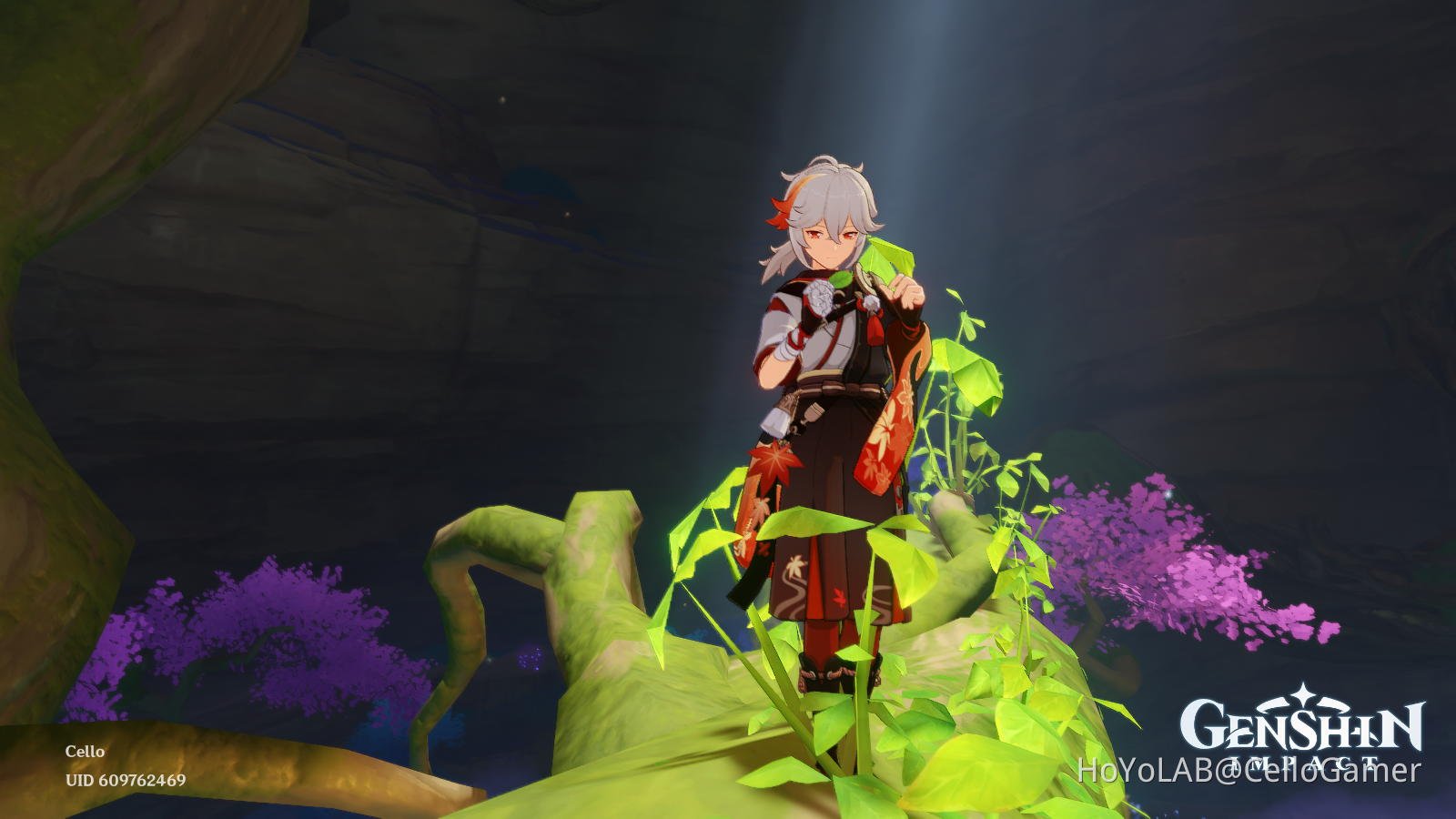 Nature's Motif Genshin Impact | HoYoLAB