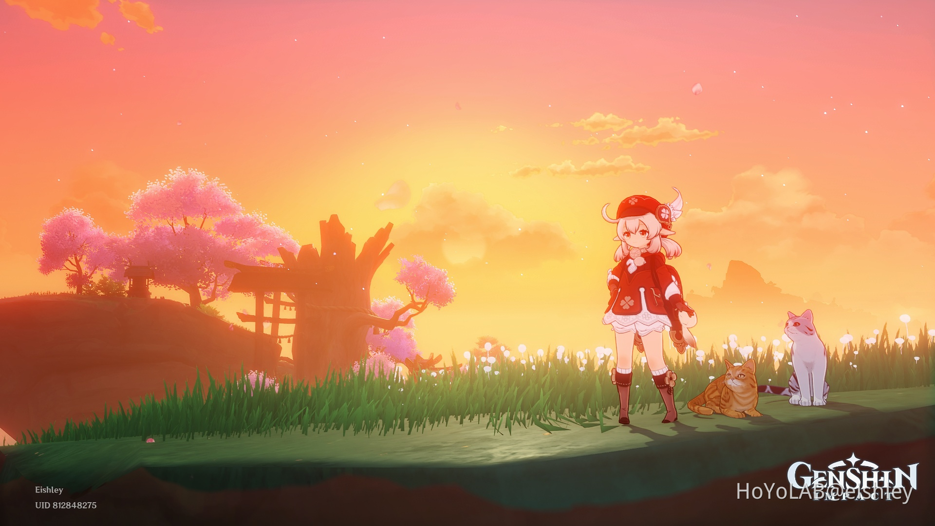 Asase Shrine = Kuching City Genshin Impact | HoYoLAB