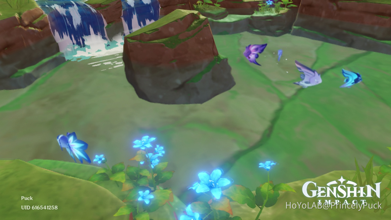 The New Fish Are Really Pretty Genshin Impact | HoYoLAB