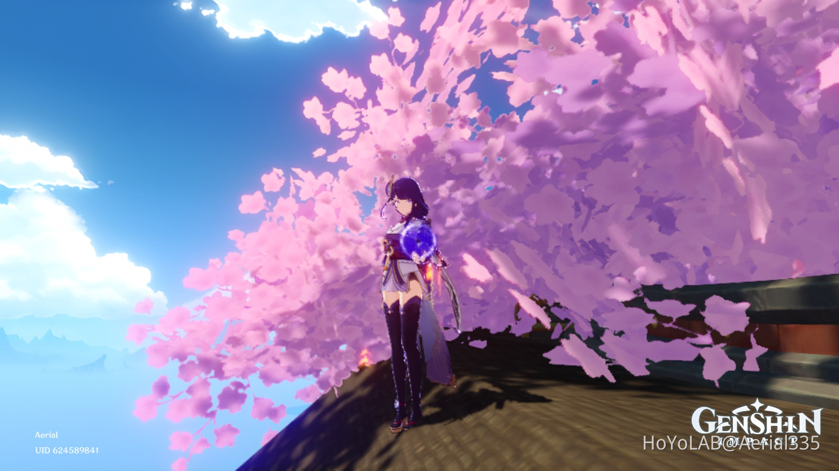 Raiden Shogun Genshin Impact | HoYoLAB