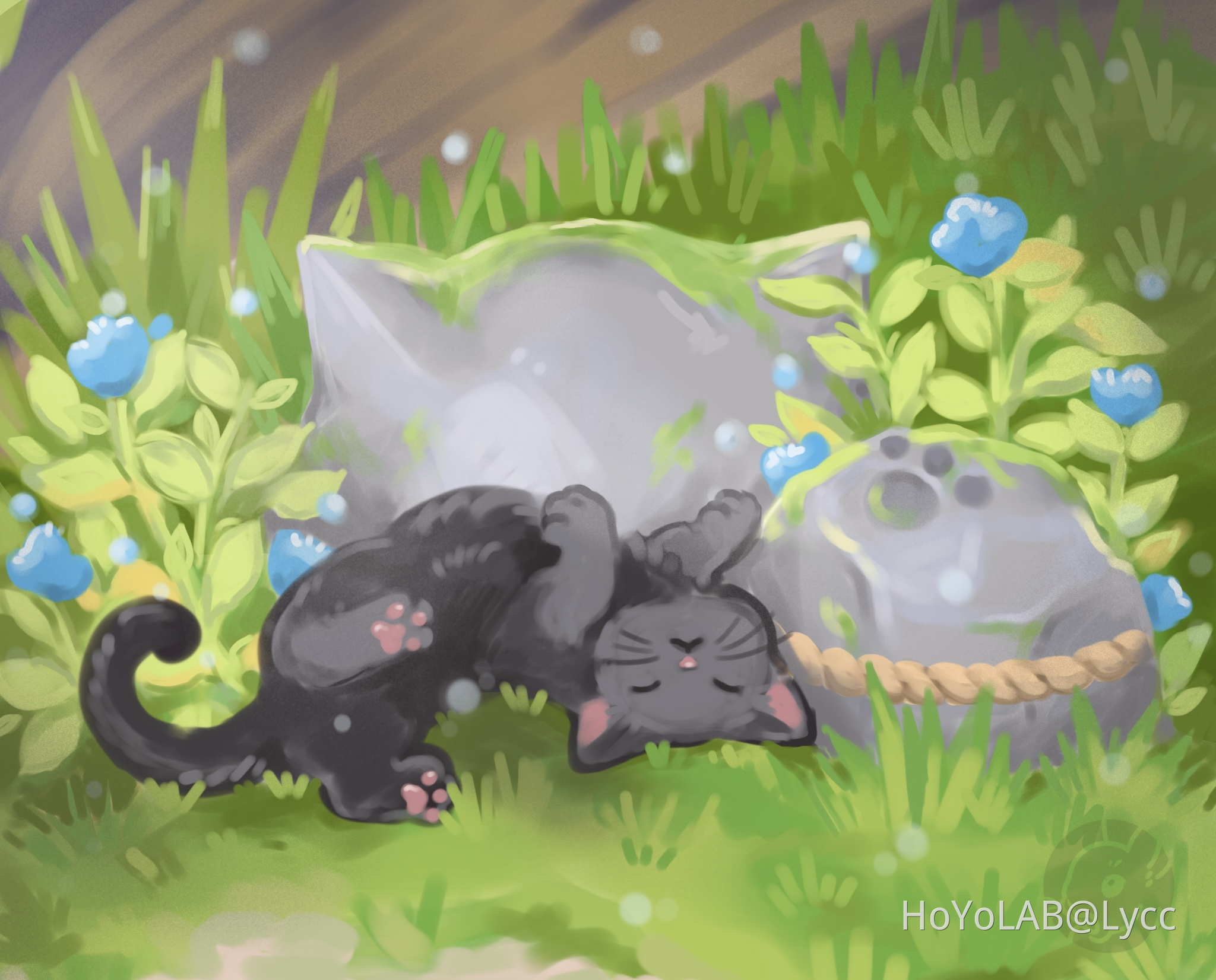 Neko and her neko shaped rocks! Genshin Impact | HoYoLAB