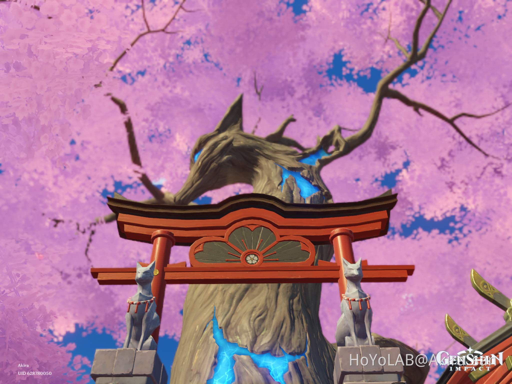 narukami shrine Genshin Impact | HoYoLAB