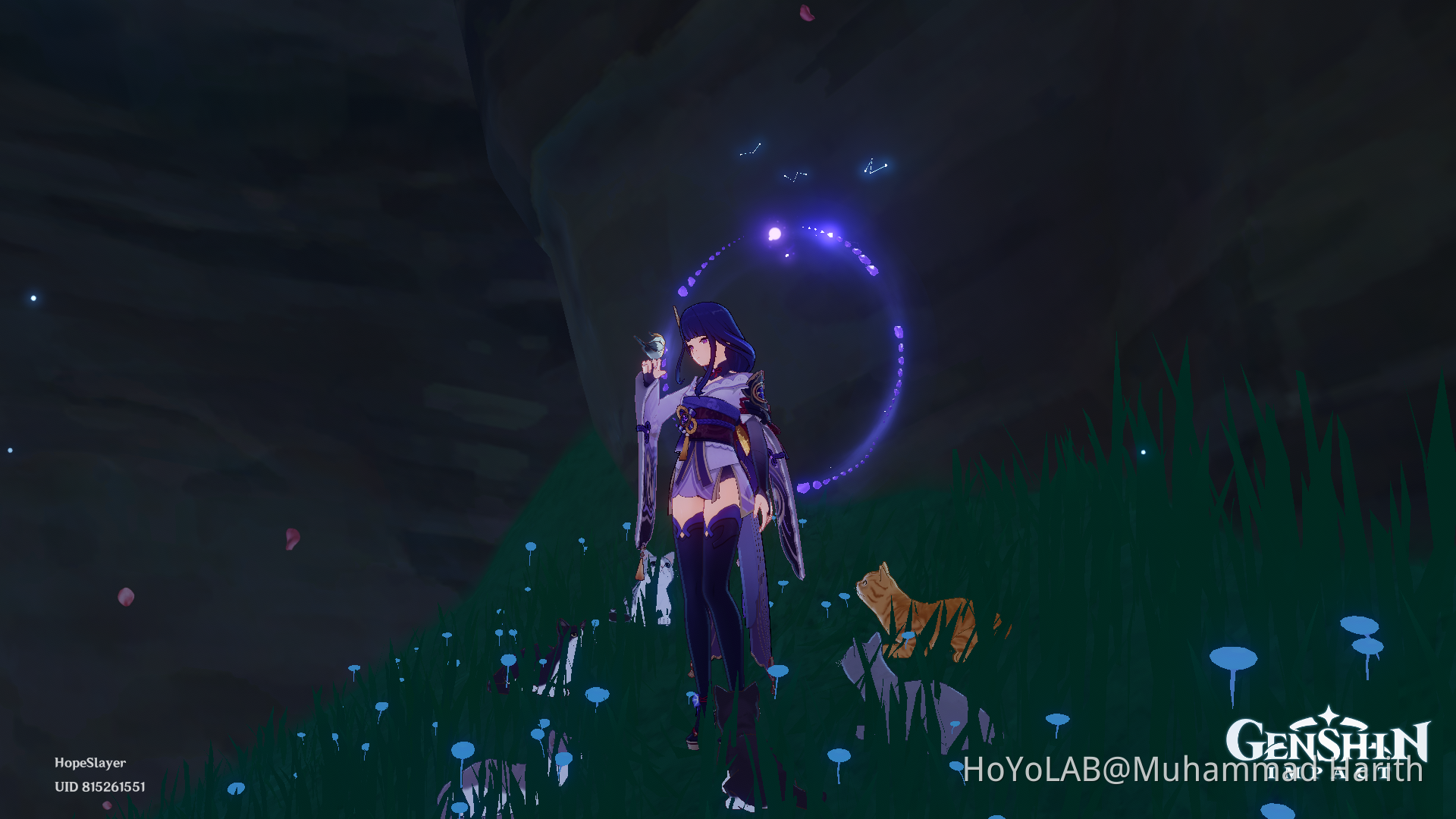 Raiden Shogun the Animal Lover Genshin Impact | HoYoLAB