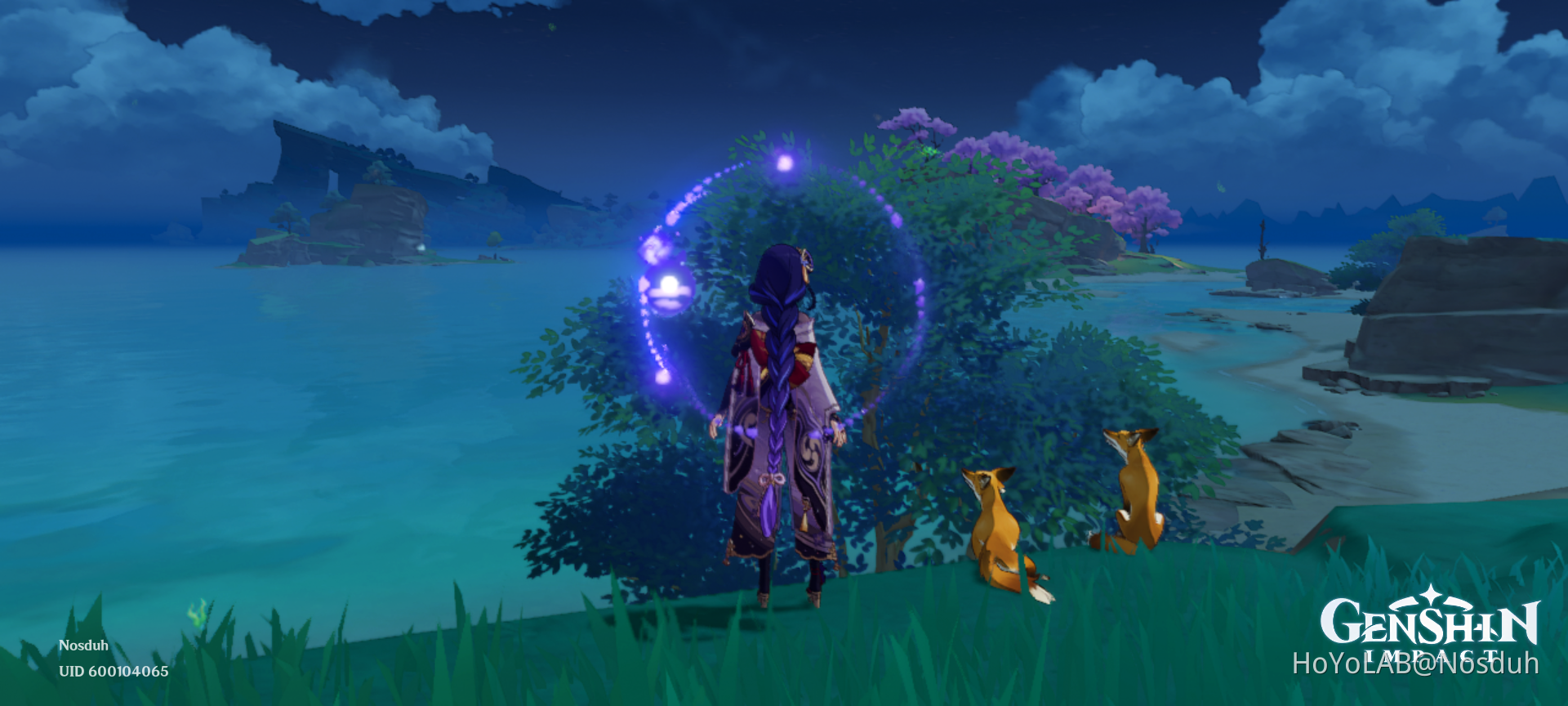 Electro Archon and her's foxes Genshin Impact | HoYoLAB
