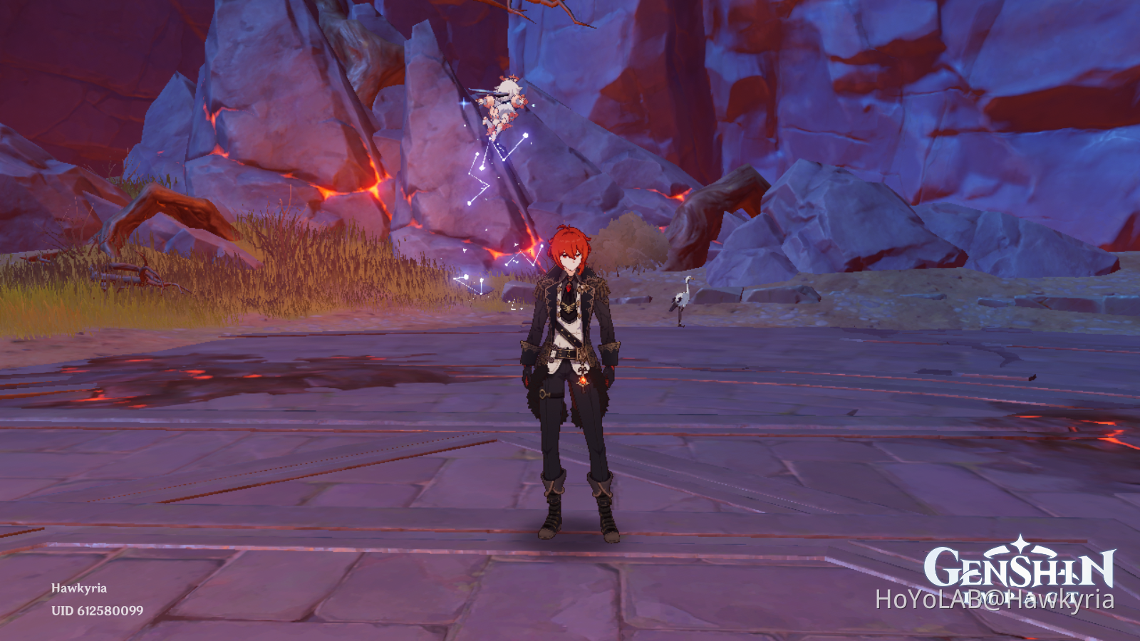 Submission UID: 612580099 - miHoYo Player Community