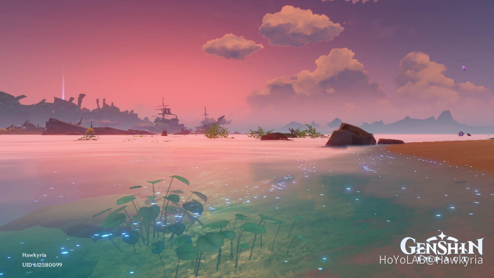 Submission UID: 612580099 - miHoYo Player Community