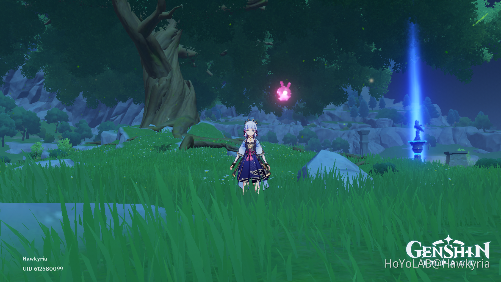 Submission UID: 612580099 - miHoYo Player Community