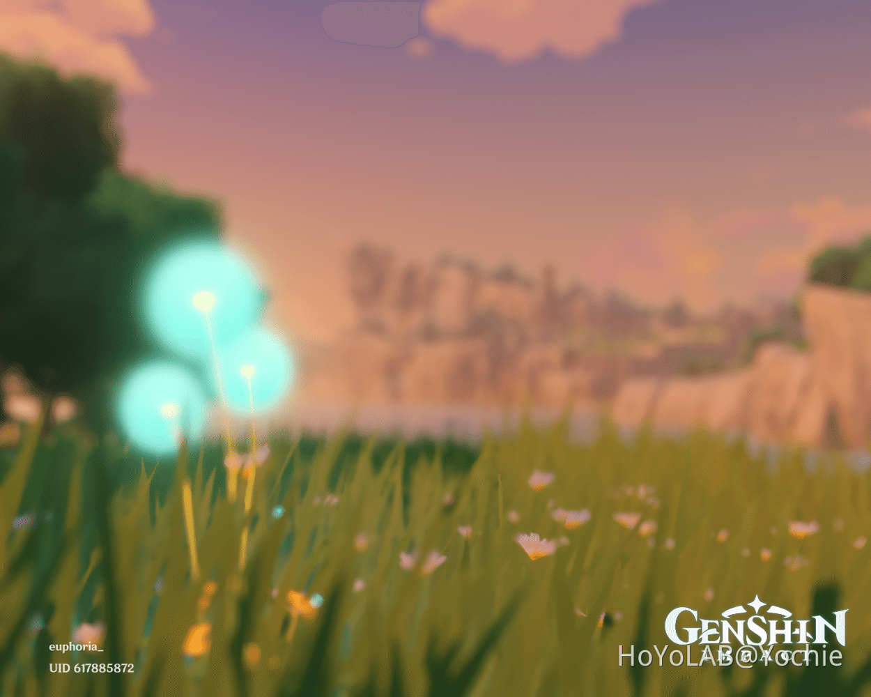 A dandelions promise Genshin Impact | HoYoLAB