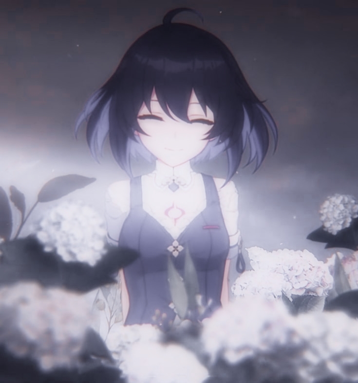 Seele vollerei iconsꨄ︎ Honkai Impact 3rd | HoYoLAB