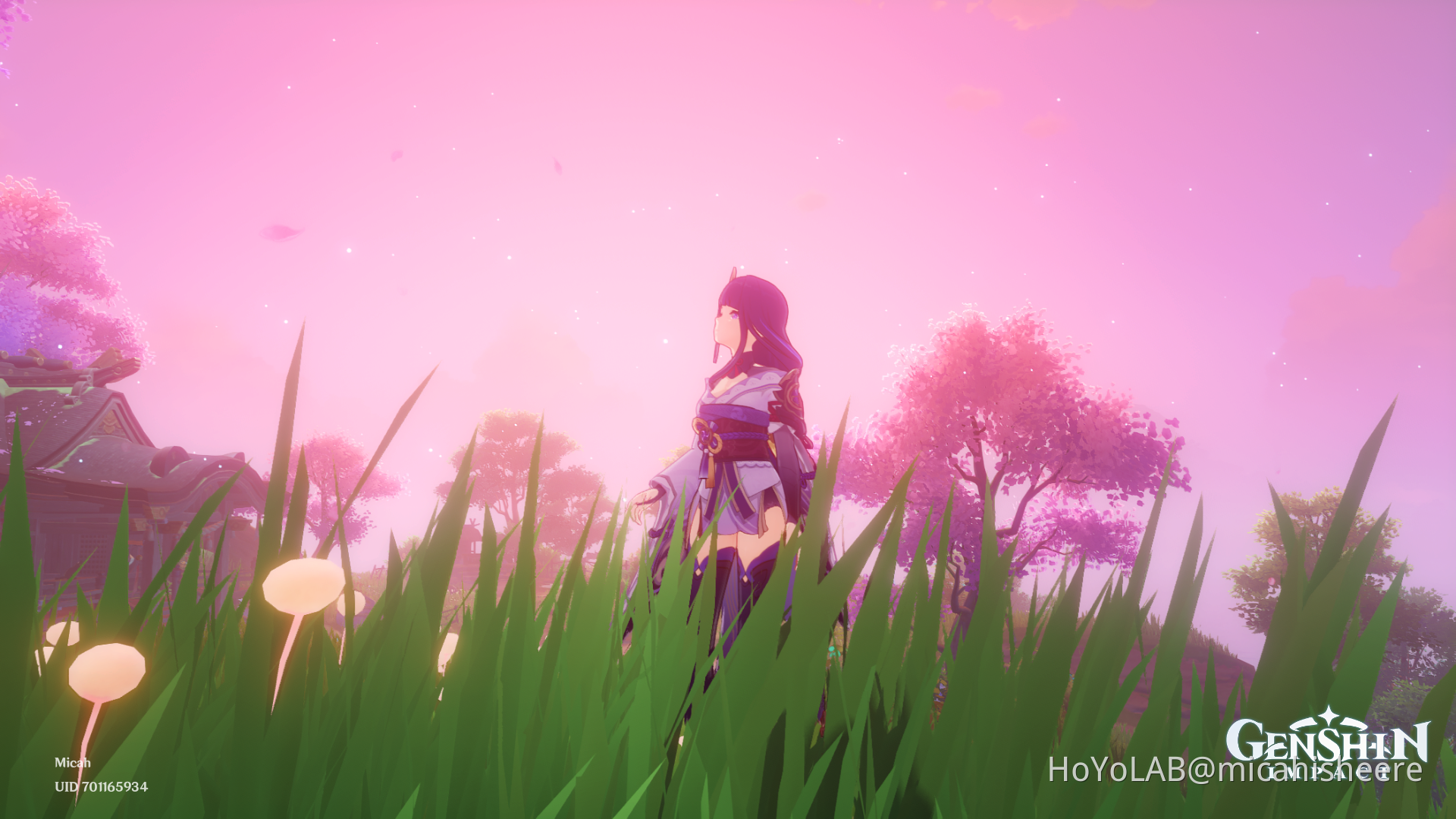 Pink light Genshin Impact | HoYoLAB