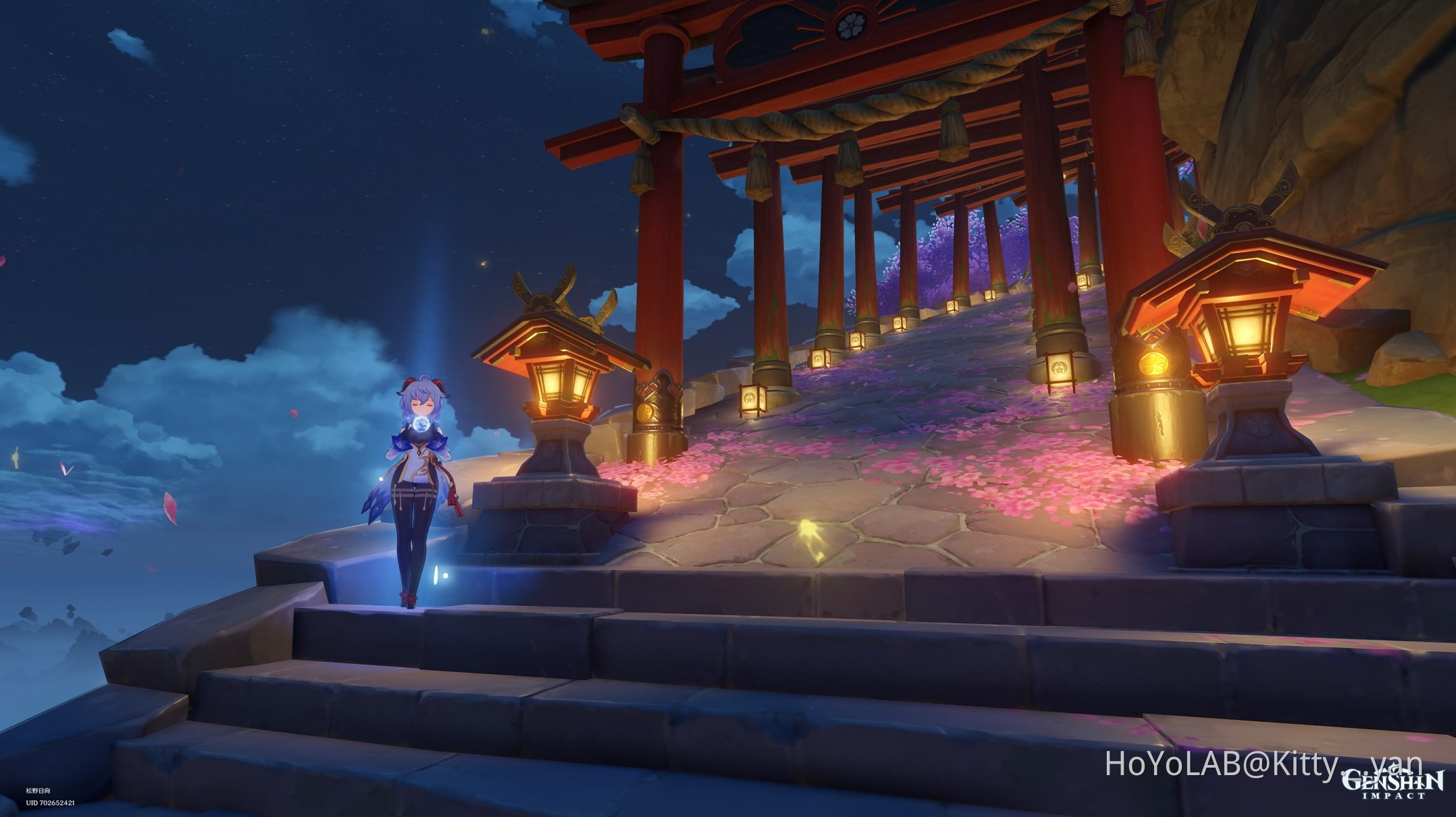 Glows in the Night Genshin Impact | HoYoLAB