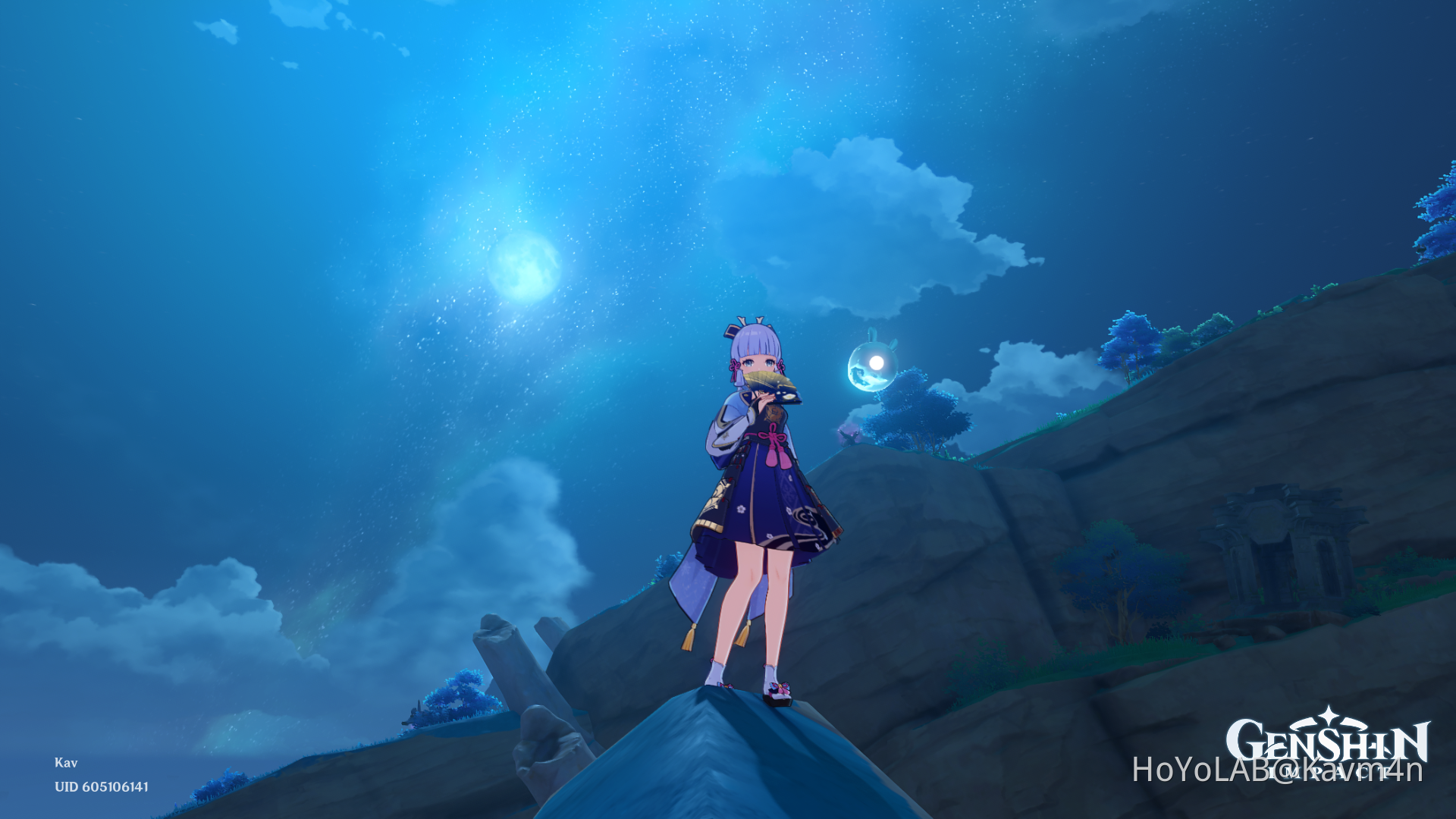 Ayaka in the moonlight Genshin Impact | HoYoLAB