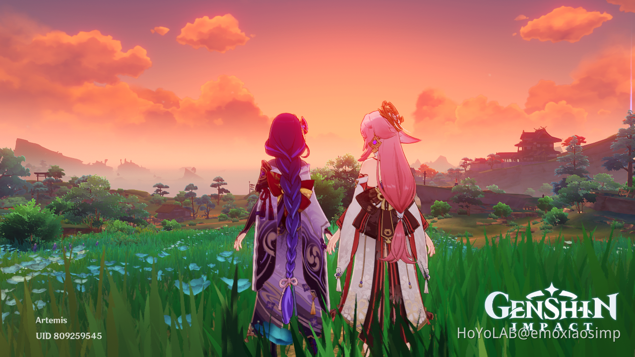 Raiden Shogun and her best friend Genshin Impact | HoYoLAB