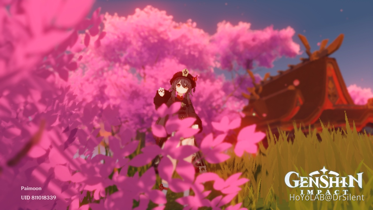Pink Blossom Genshin Impact | HoYoLAB