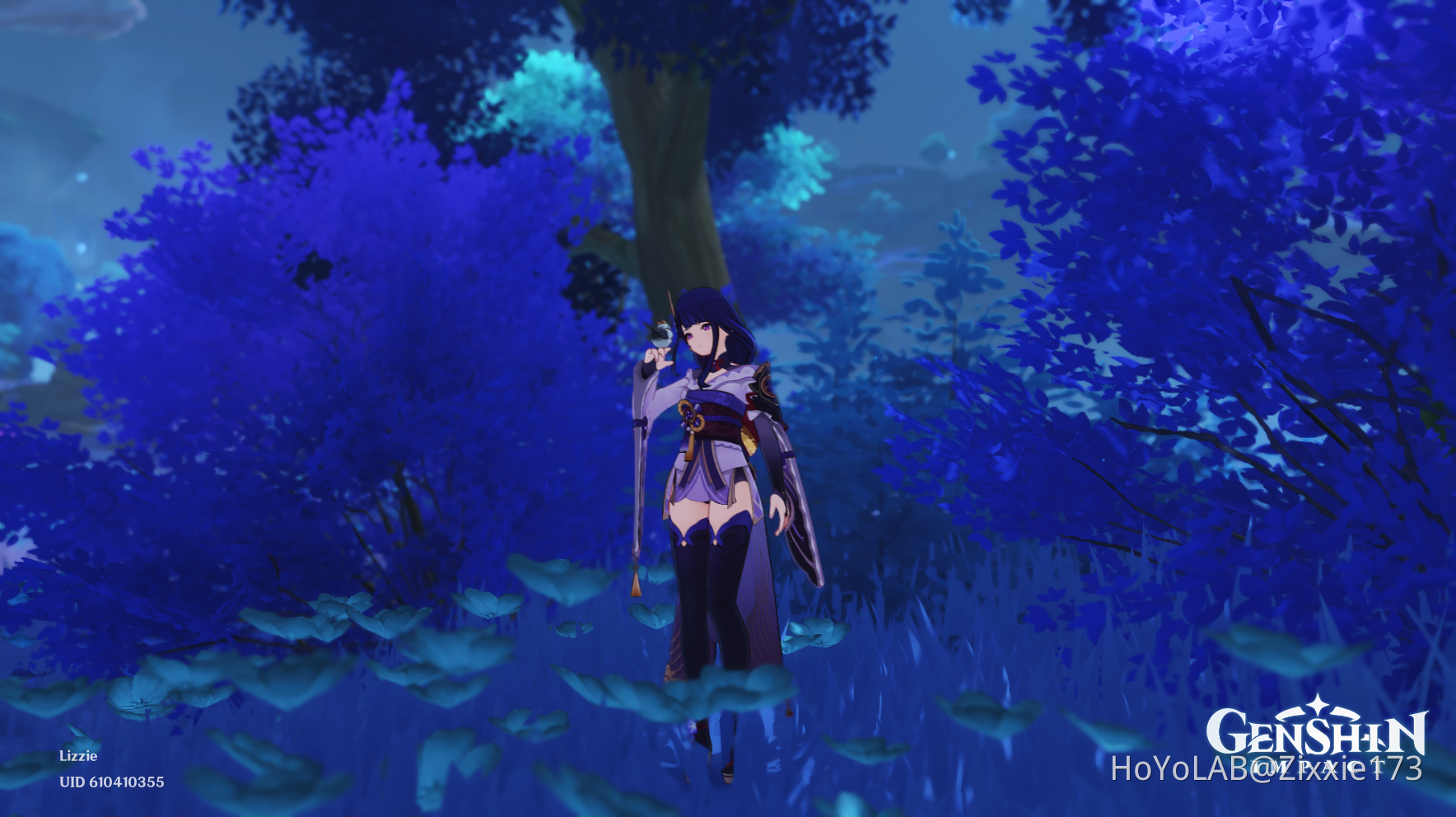 Raiden Shogun with her bird :) Genshin Impact | HoYoLAB