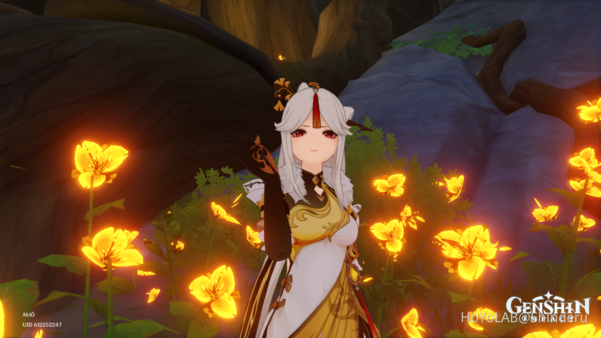 Nature beauty. Beleza da natureza. Genshin Impact | HoYoLAB