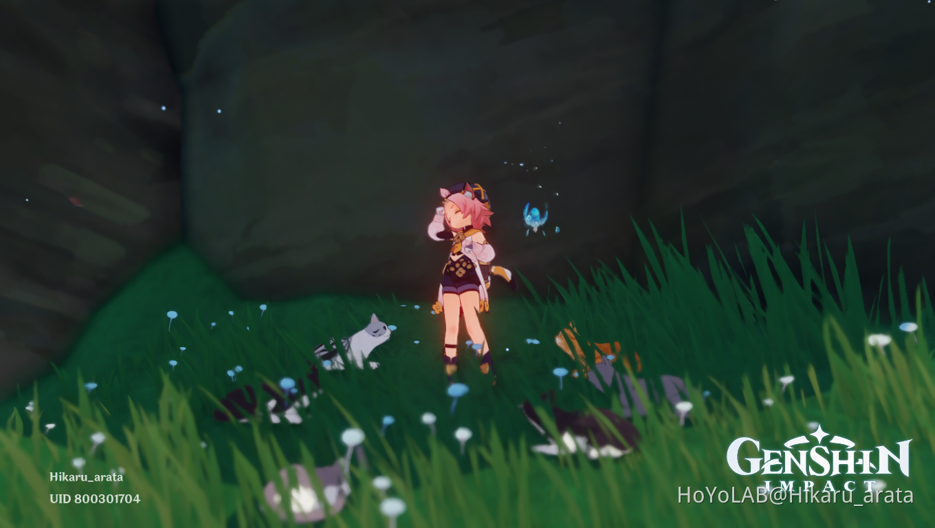 Diona and cat Genshin Impact | HoYoLAB
