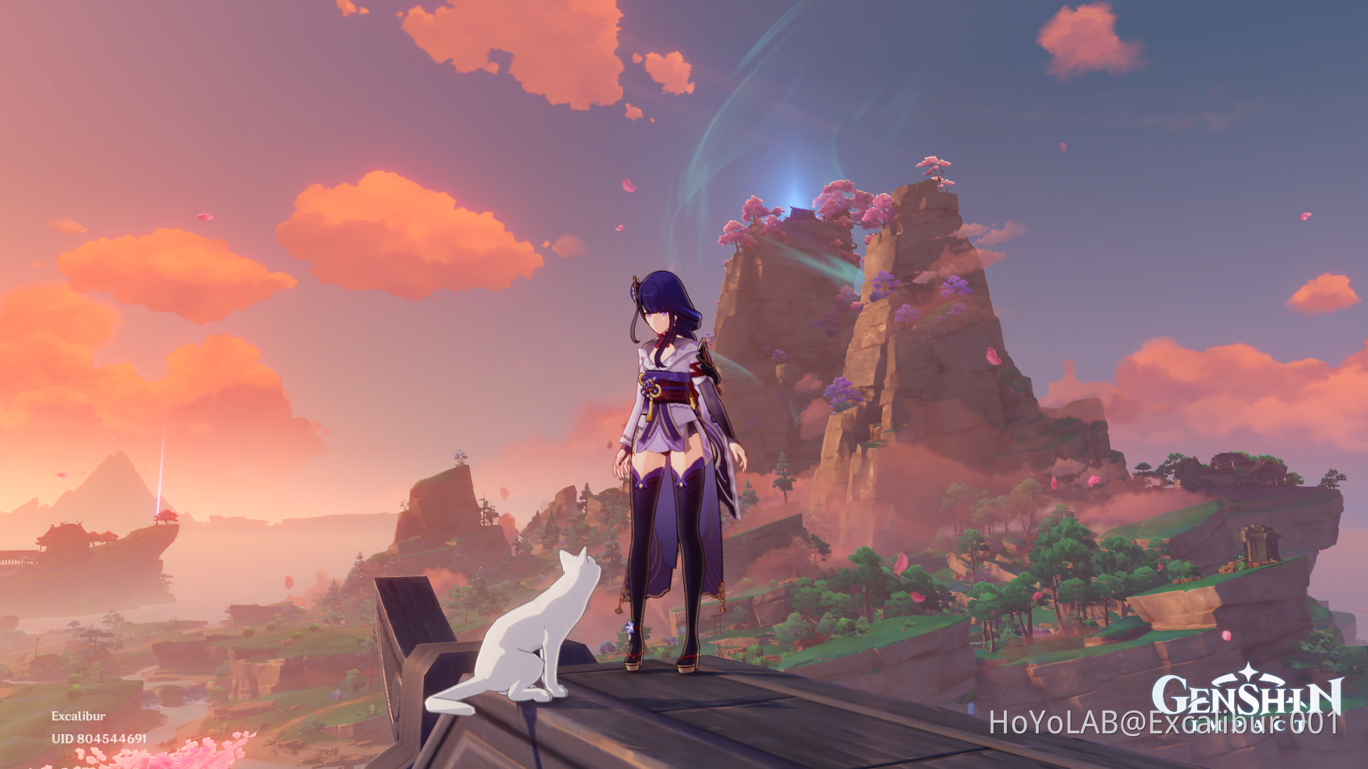 Raiden Shogun's soft side Genshin Impact | HoYoLAB