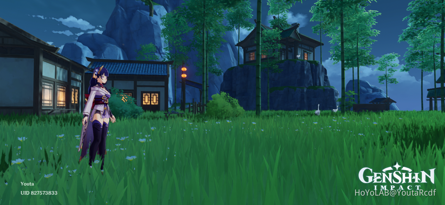 need some more stork Genshin Impact | HoYoLAB