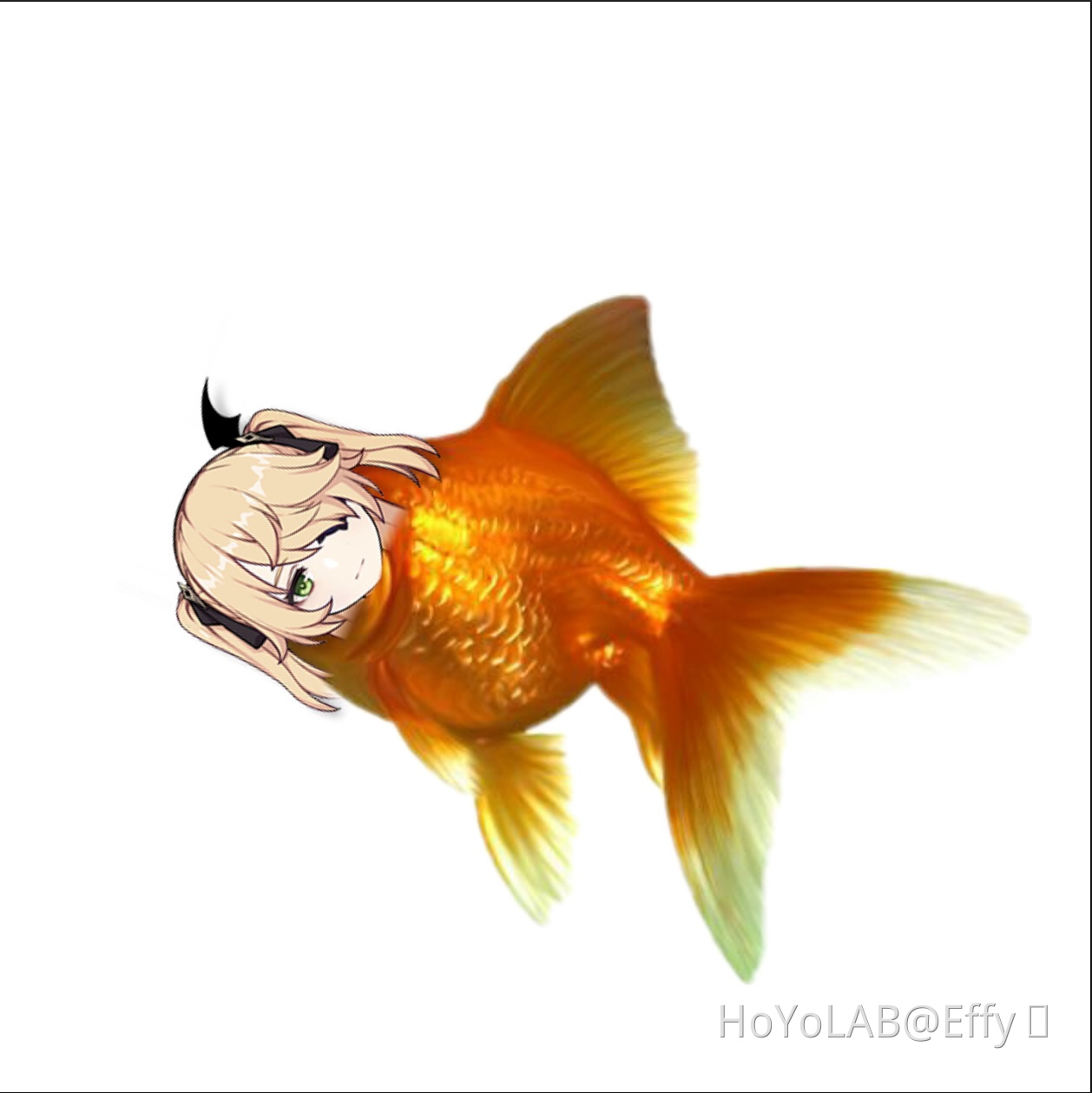 Fish Genshin Impact | HoYoLAB