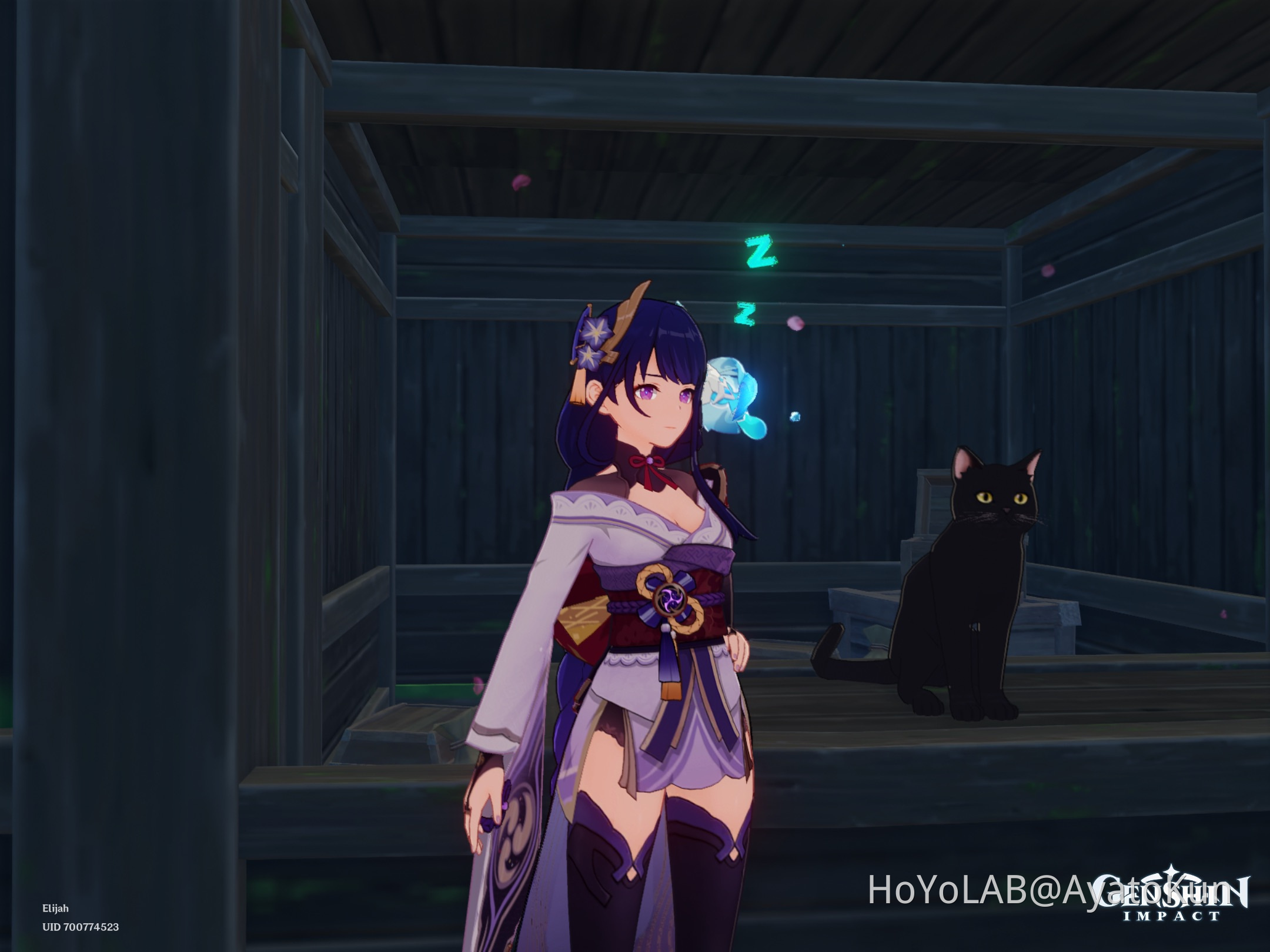 Electro Archon Pays respect to Priestess Genshin Impact | HoYoLAB