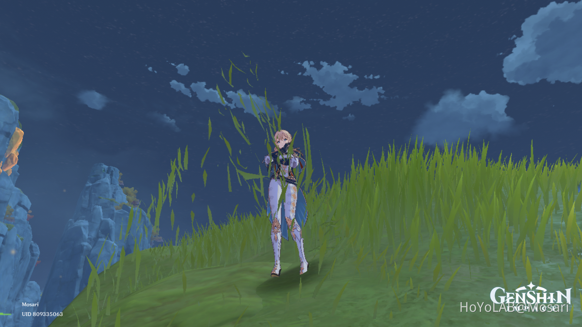 hmm...beautiful grass in Teyvat. Genshin Impact | HoYoLAB