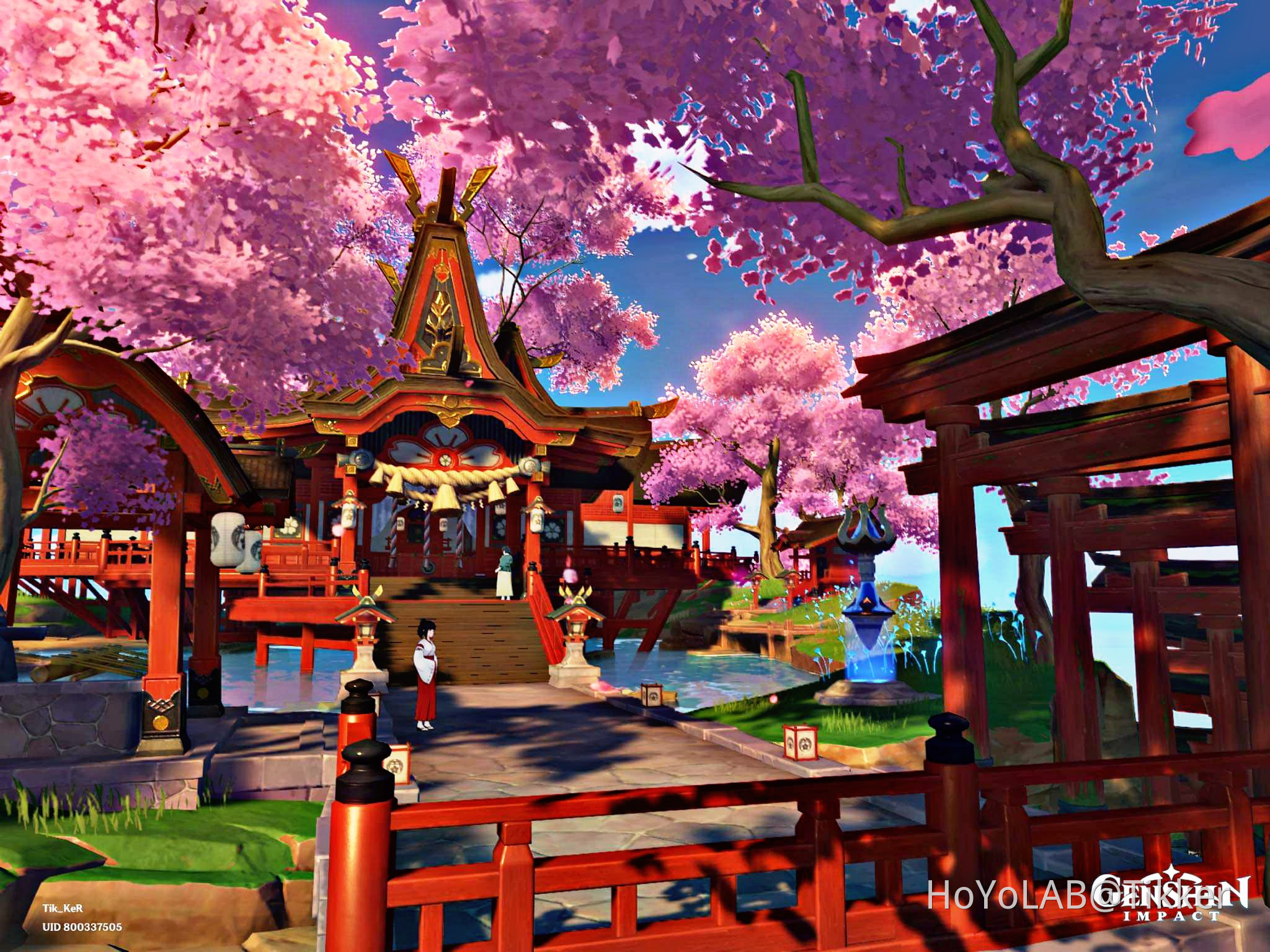 Grand narukami Shrine Genshin Impact | HoYoLAB