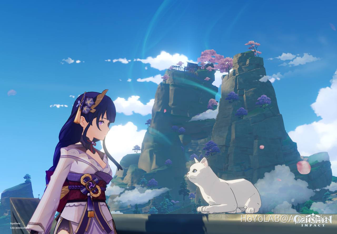 Raiden Shogun and the Neko Genshin Impact | HoYoLAB