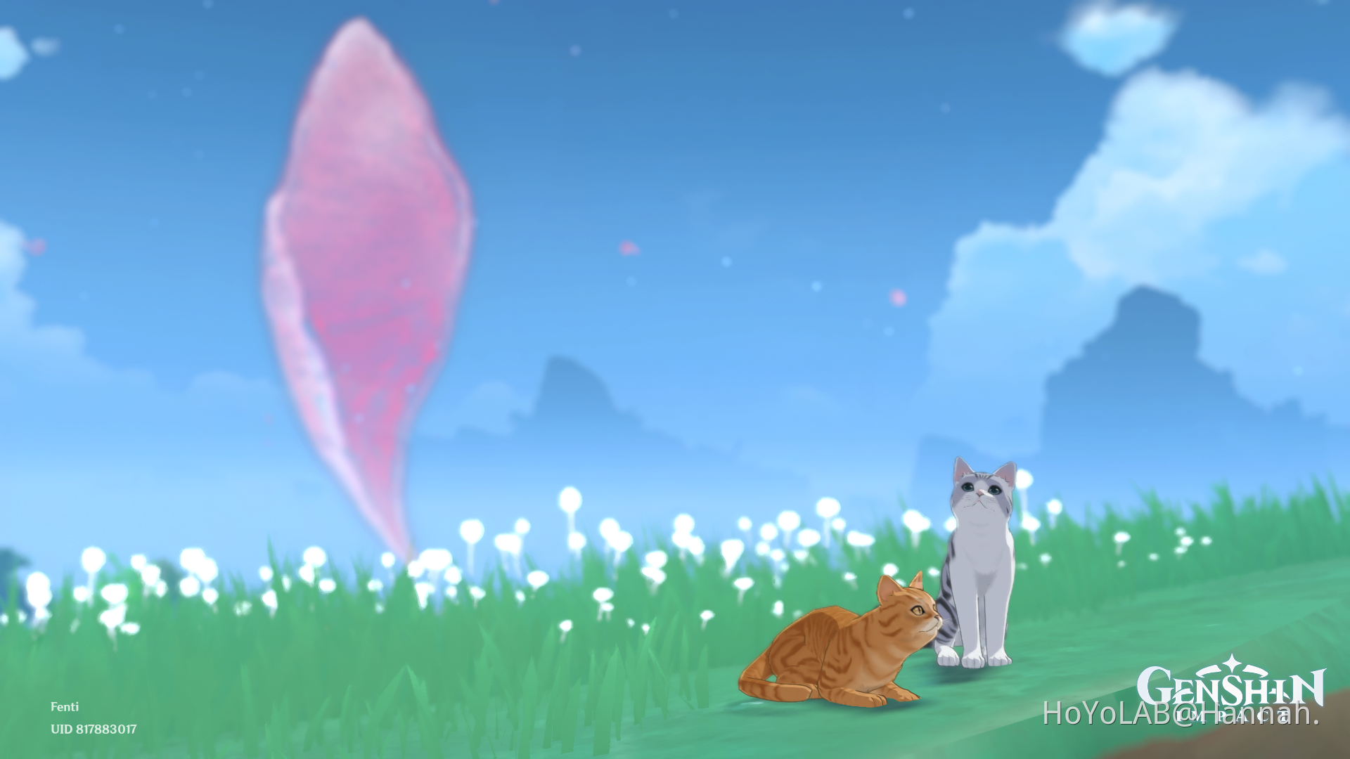 Cats doing hanami Genshin Impact | HoYoLAB