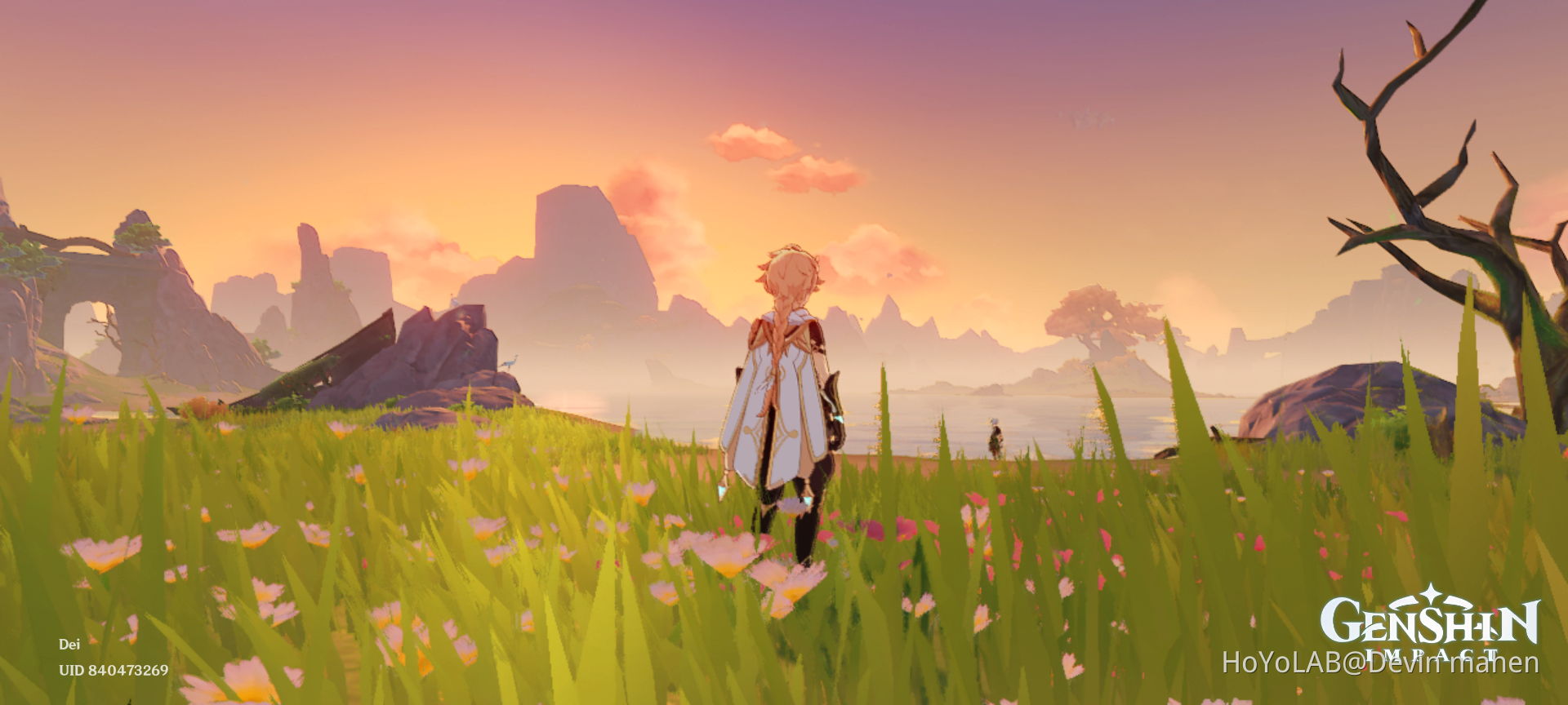 Promise Genshin Impact | HoYoLAB