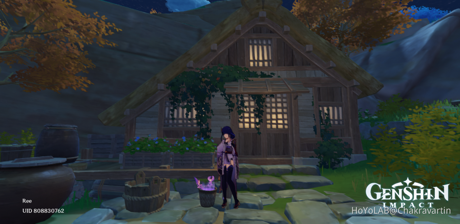 Ei-chan is trying to help her people Genshin Impact | HoYoLAB