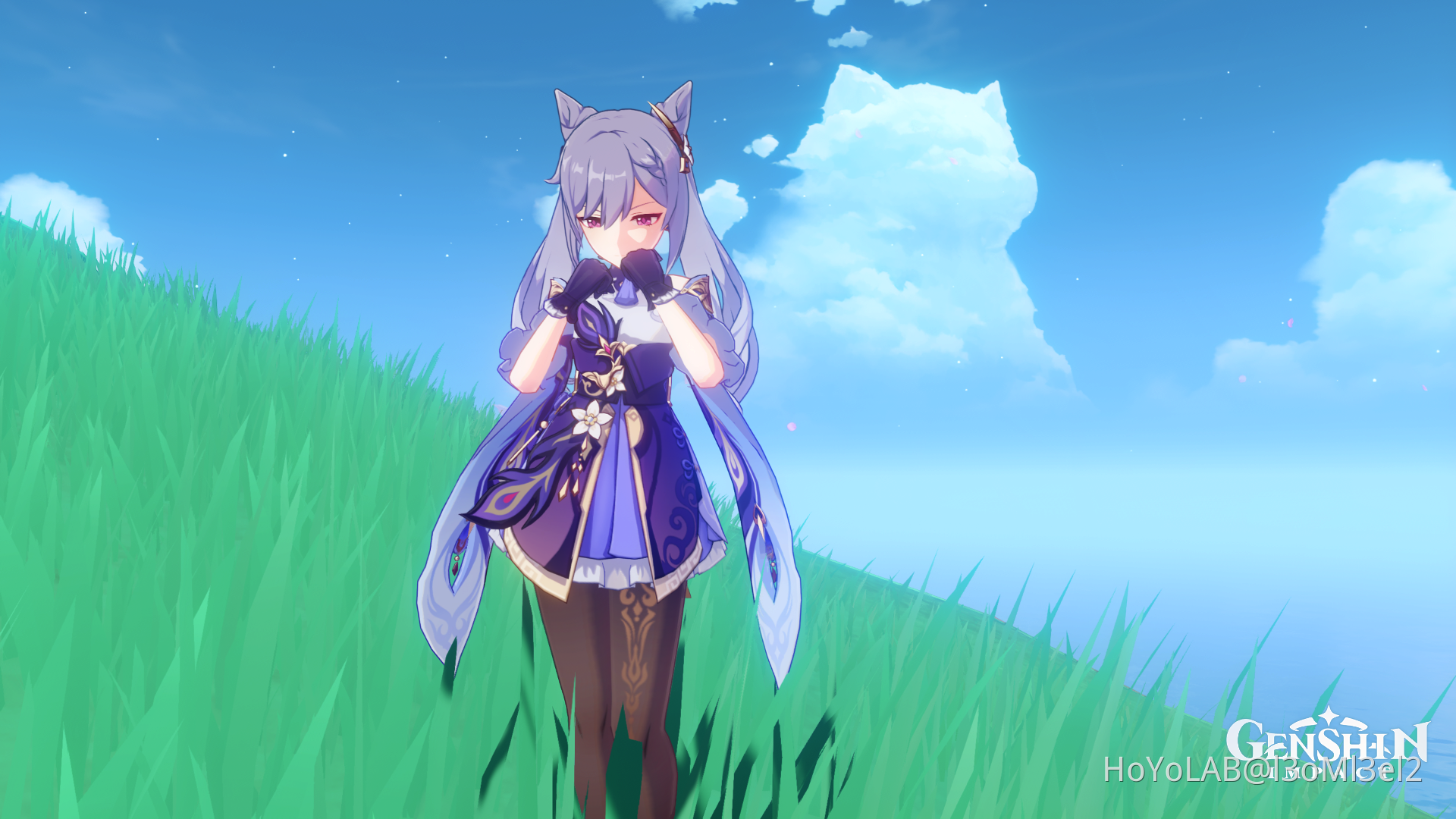 หน่อแมว Nyan เมี๊ยว Genshin Impact | HoYoLAB