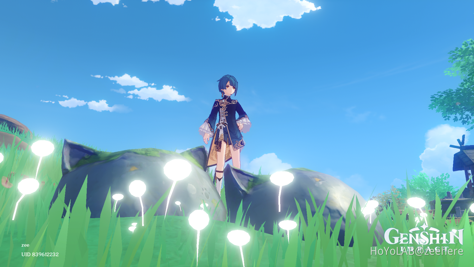 Neko Island Genshin Impact | HoYoLAB