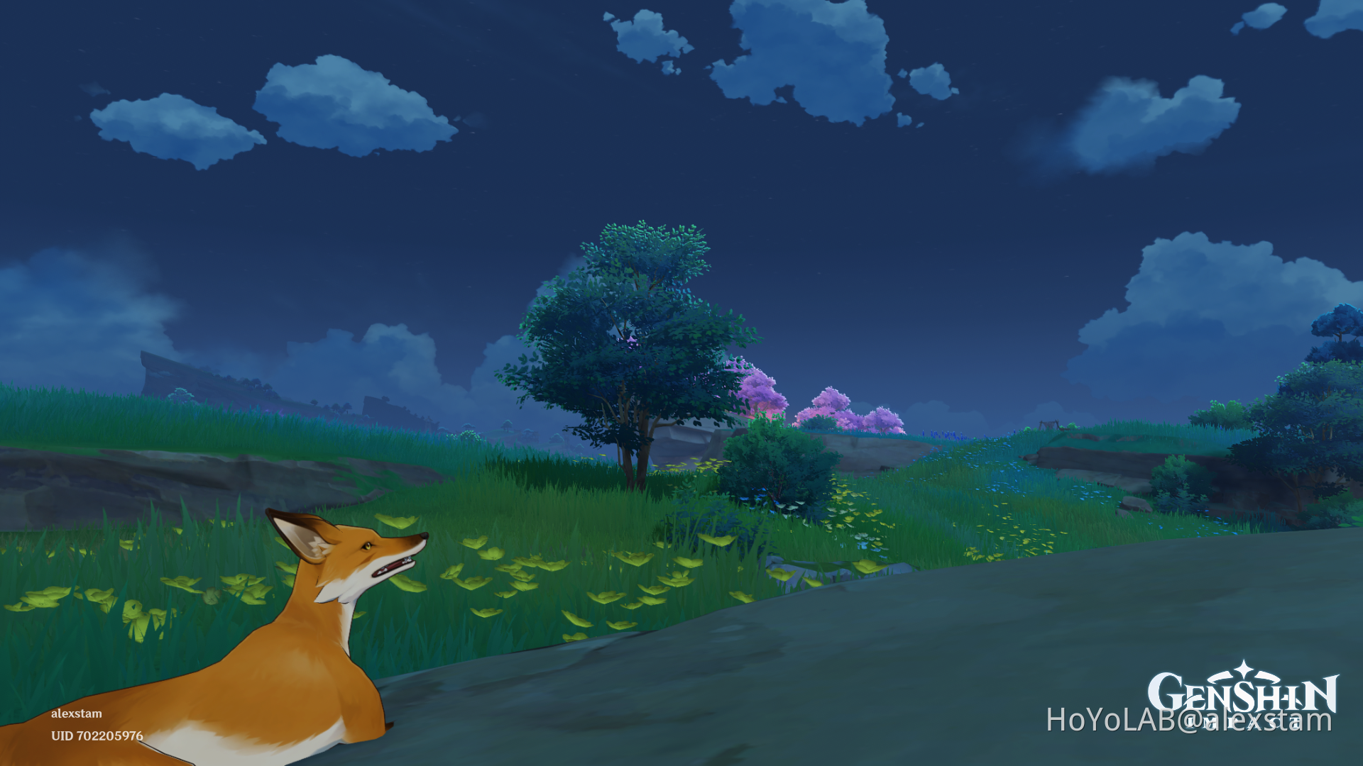 Inazuma Sakura Fox Genshin Impact | HoYoLAB