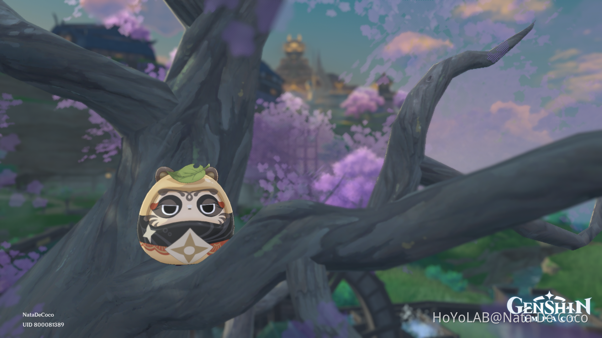 Pompong#3 Genshin Impact | HoYoLAB