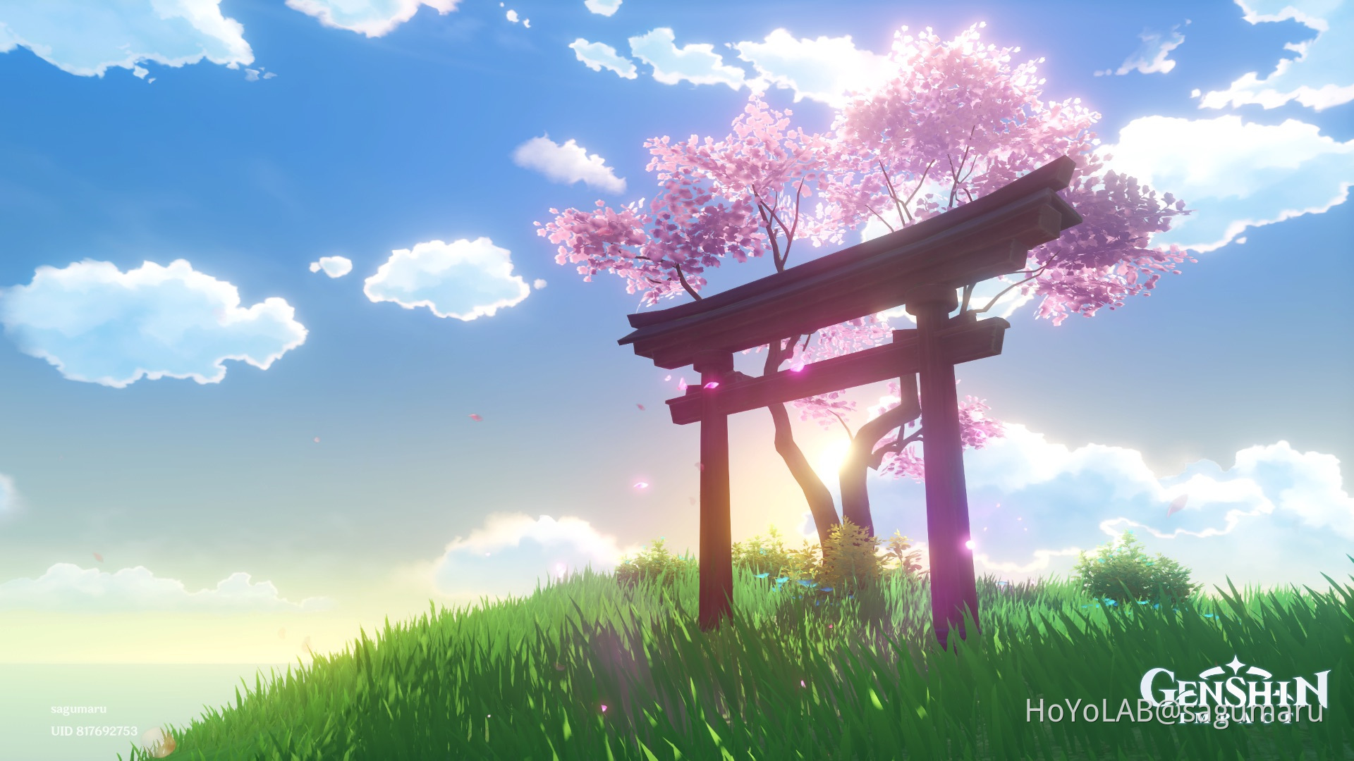 Daybreak Sakura Genshin Impact | HoYoLAB