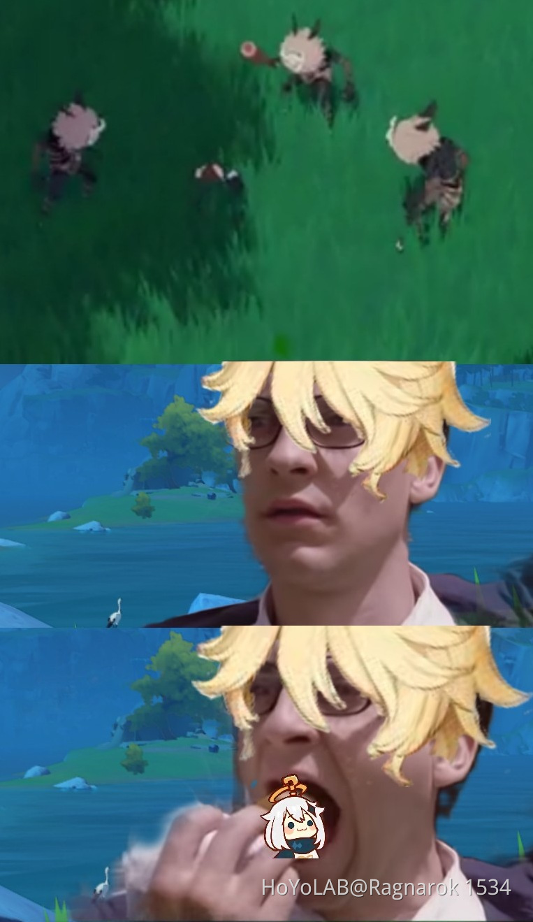 Um meme de quando eu vejo o Pallad levando murro na cara Genshin Impact ...