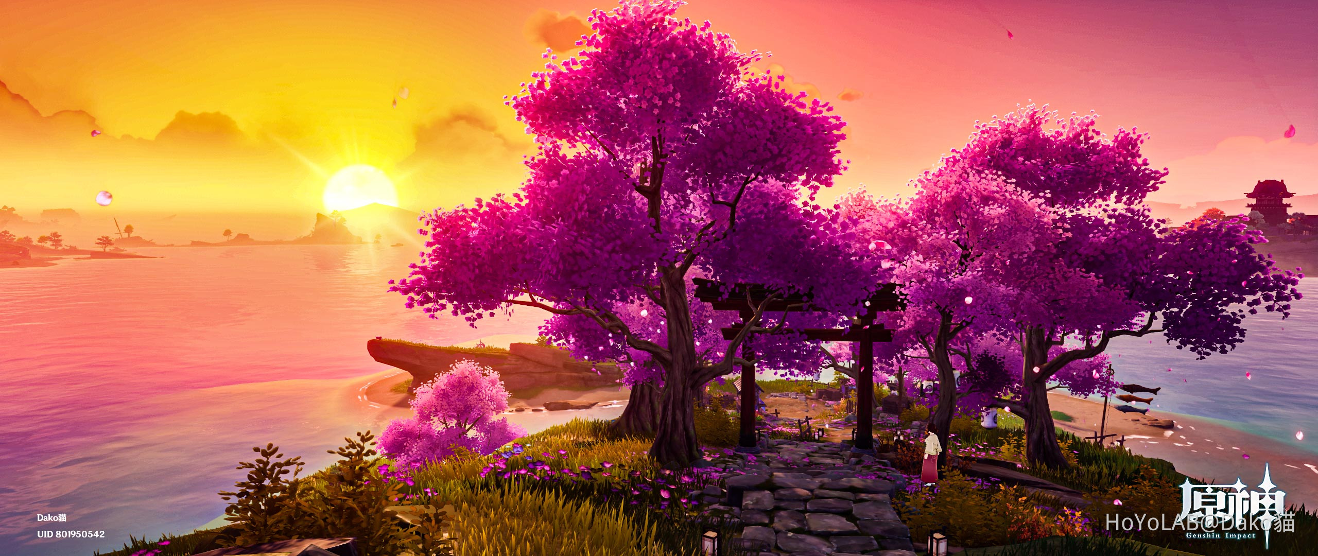 櫻花 Honkai Impact 3rd | HoYoLAB