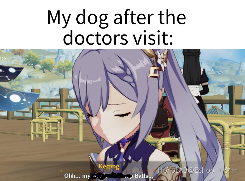 Keqing meme (WARNING : mild dark humour) Genshin Impact | HoYoLAB