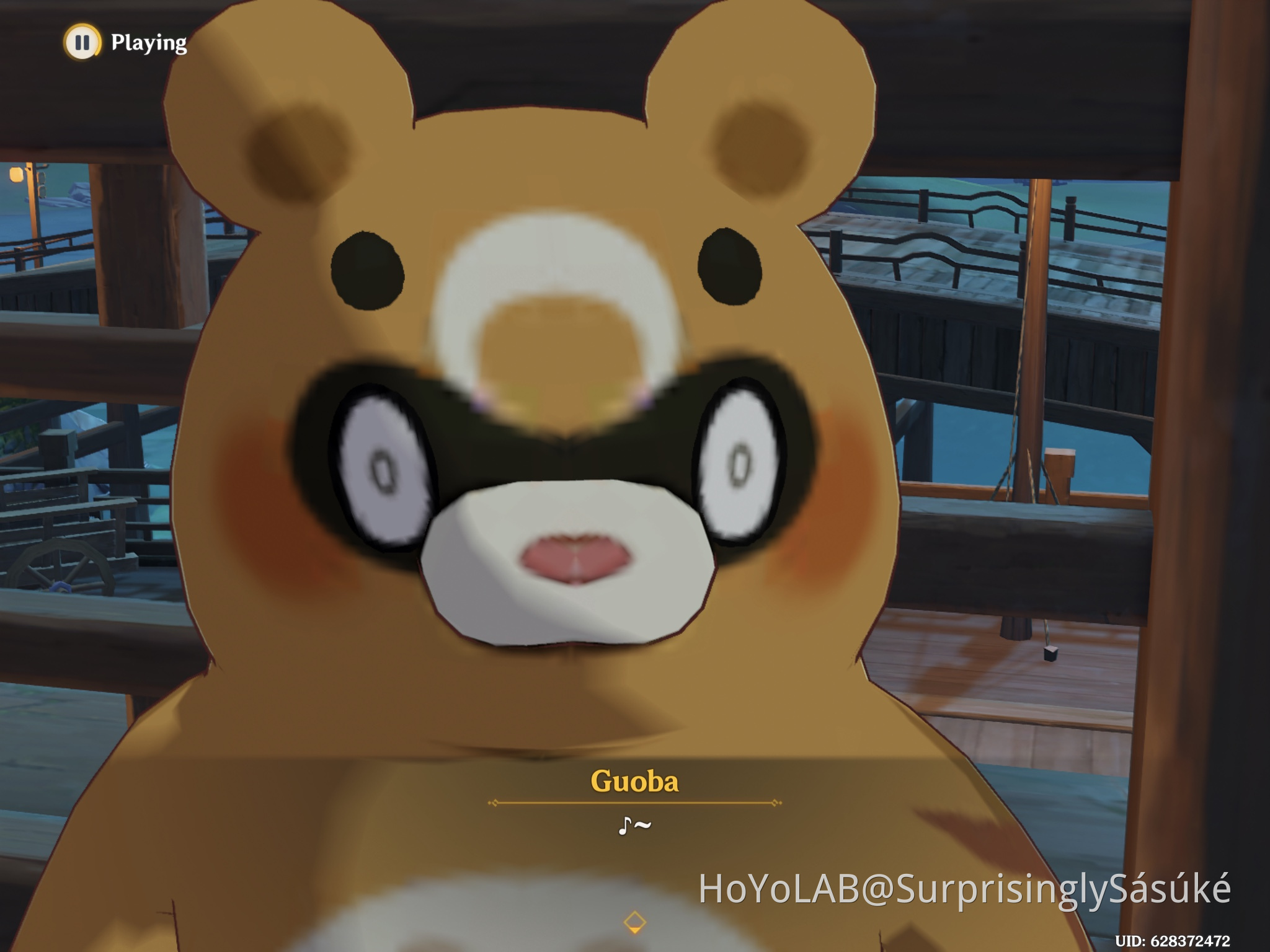 guoba just had a brain blast Genshin Impact | HoYoLAB